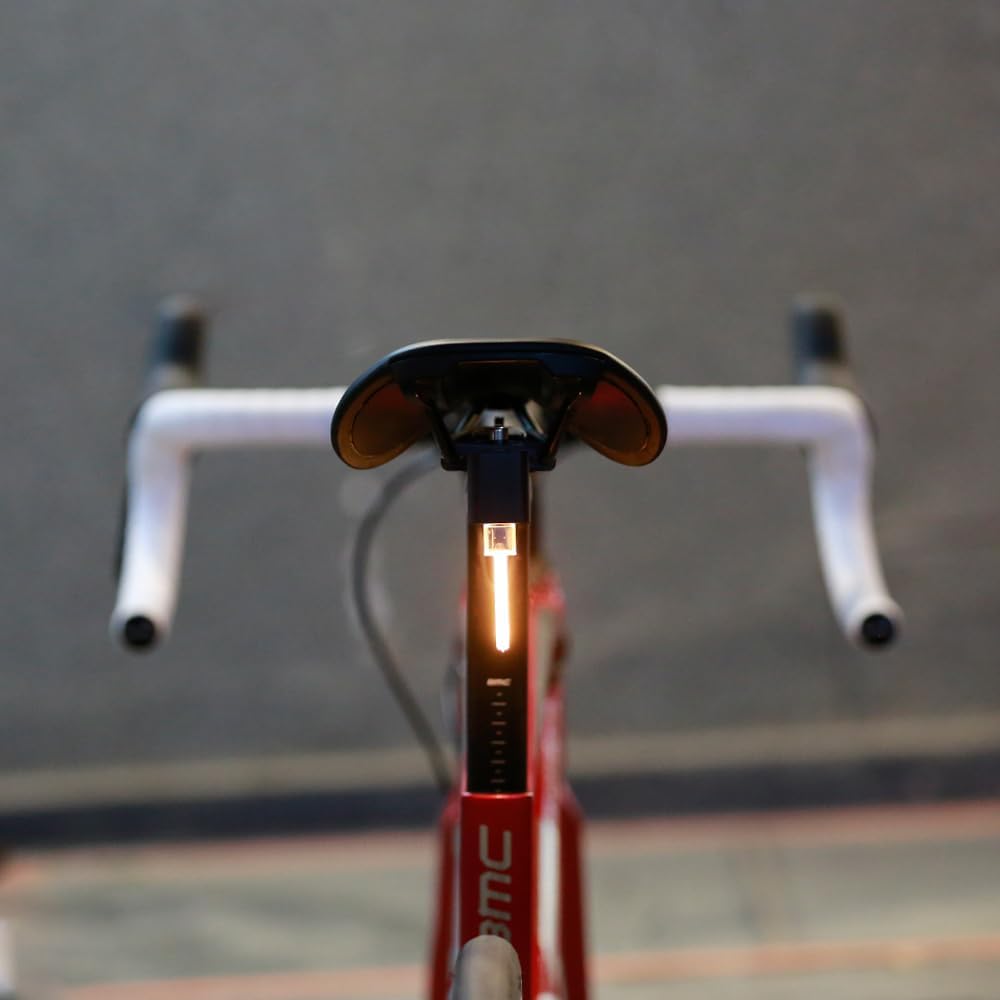 ECM New Bike light, Pluggable Replacement Bicycle Tail light w/Type-C